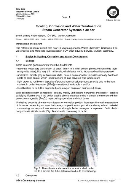 Scaling, Corrosion and Water Treatment on Steam ... - Sme-gtz.org.vn