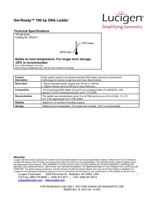 Gel-Ready™ 100 bp DNA Ladder - Lucigen