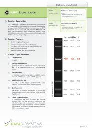 KAPA SYBR® FAST qPCR Kit Master Mix (2X ... - Kapa Biosystems
