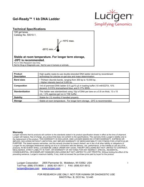 Gel-Ready™ 1 kb DNA Ladder - Lucigen