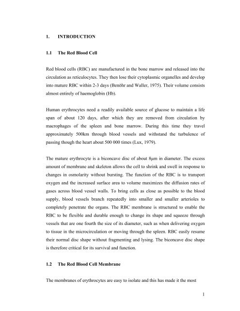 1 1. INTRODUCTION 1.1 The Red Blood Cell Red blood cells