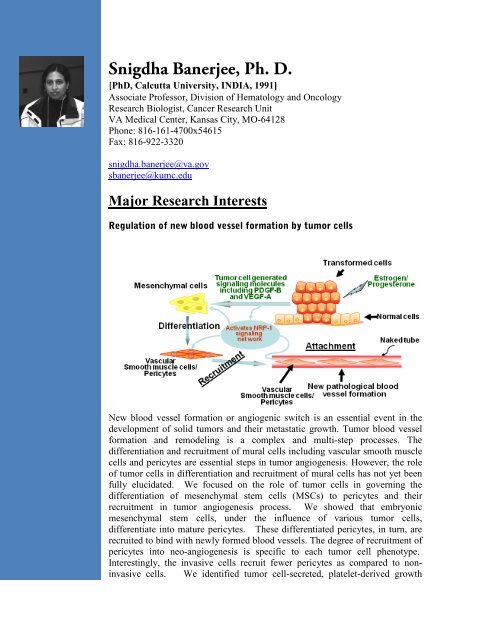 Snigdha Banerjee, Ph.D.