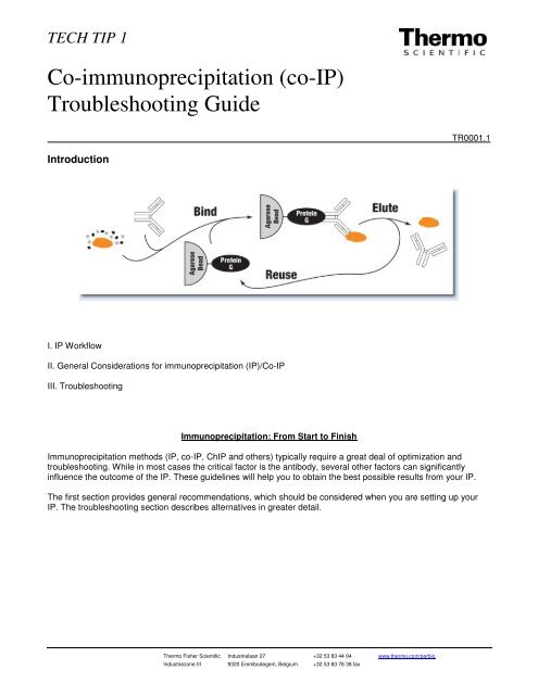 Co-immunoprecipitation (co-IP) Troubleshooting Guide - ProteinGuru