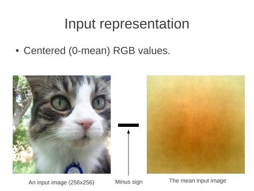 Input representation