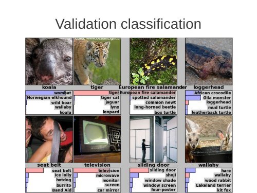 Validation classification