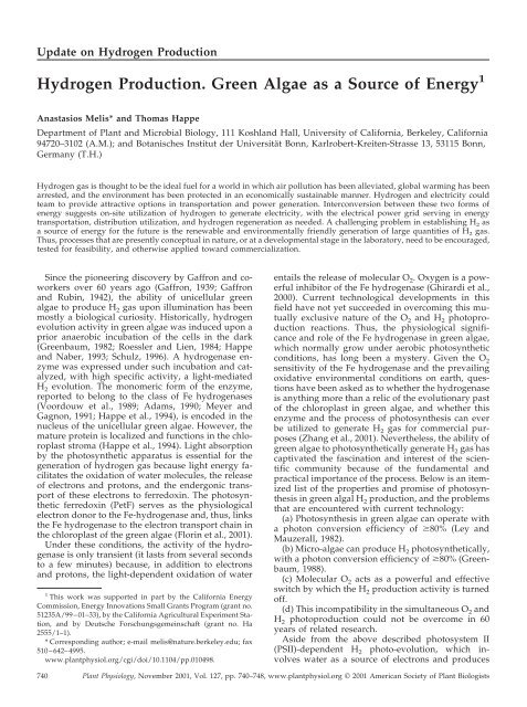Hydrogen Production. Green Algae as a Source of - Plant Physiology
