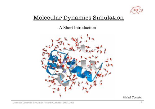 Molecular Dynamics Simulation