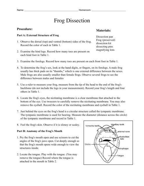 Frog Dissection Lab Activity