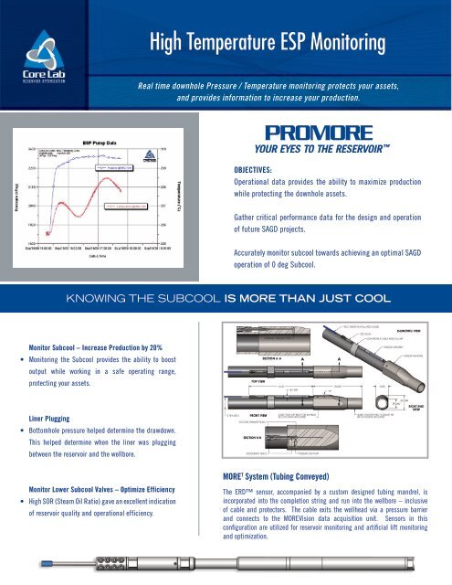 High Temperature ESP Monitoring Brochure - Core Laboratories