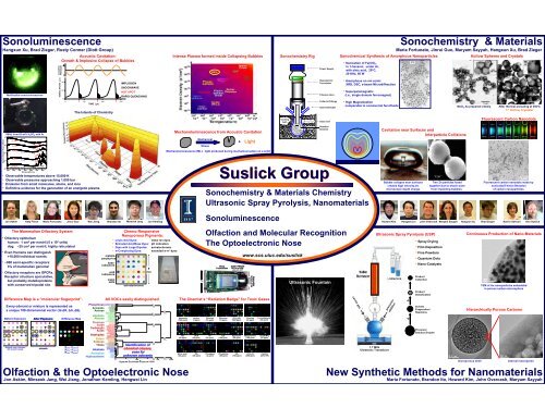 Suslick Group - School of Chemical Sciences - University of Illinois ...