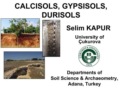 CALCISOLS, GYPSISOLS, DURISOLS