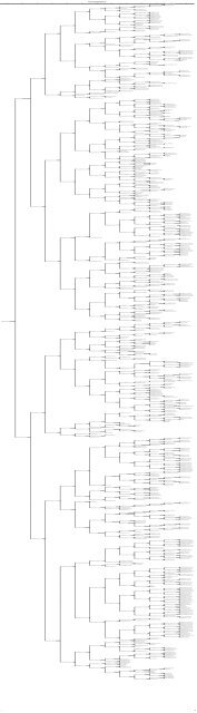 Ancestry Chart - GenealogyWallCharts