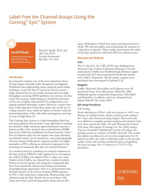 Label-Free Ion Channel Assays Using the Corning