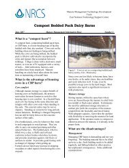 Compost Bedded Pack Barns Composting and Design Considerations