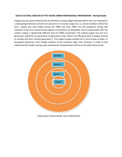 socio-cultural analysis of the young urban professional