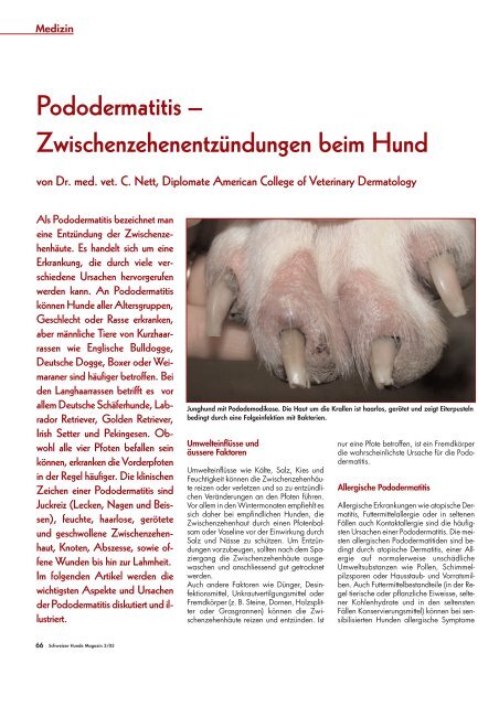 Pododermatitis - Tierärztliche Spezialistenklinik