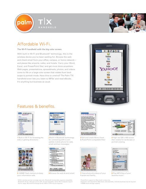 Palm Tungsten Datasheet