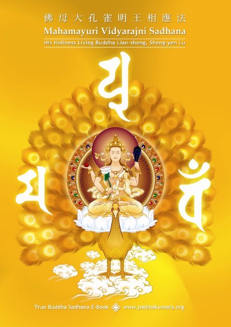 Mahamayuri Vidyarajni Sadhana