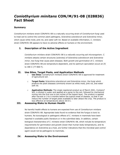 Coniothyrium minitans CON/M/91-08 - US Environmental Protection ...