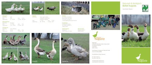 Naturnah & ökologisch. Biohof Auguste. - Lebenshilfe Werkstätten ... Naturnah & ökologisch. Biohof Auguste. - Lebenshilfe Werkstätten ...