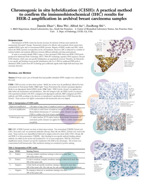 Chromogenic in situ hybridization (CISH) - Invitrogen