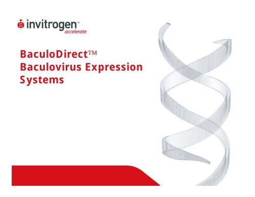 BaculoDirect™ Baculovirus Expression Systems - Invitrogen
