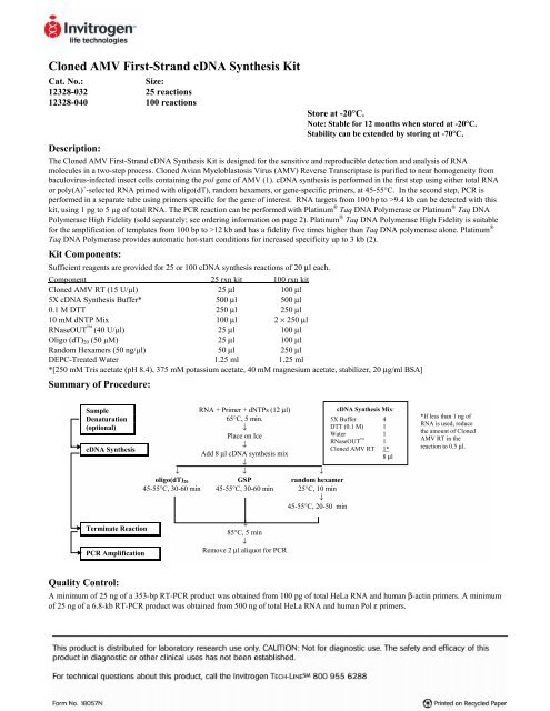 Cloned AMV First-Strand cDNA Synthesis Kit - Invitrogen