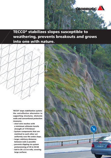 TECCO ® slope stabilization (PDF) - Geobrugg AG
