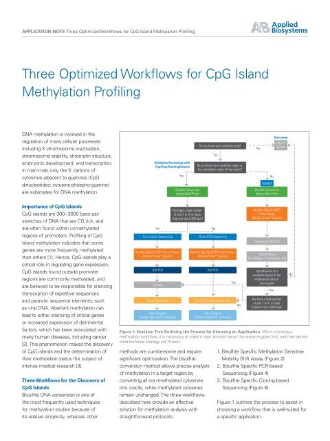 Three Optimized Workflows for CpG Island Methylation ... - Invitrogen