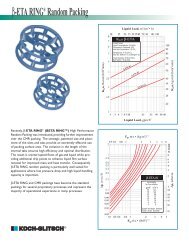 INTALOX ULTRA random packing - Koch-Glitsch