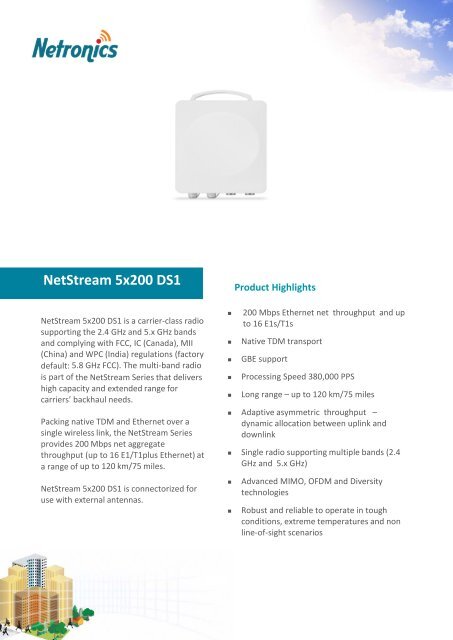 NetStream 5x200 DS1 Datasheet - Netronics Networks