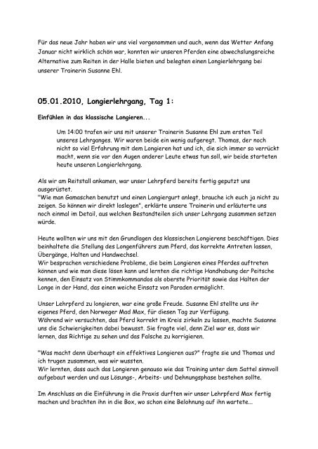 Bericht im PDF Format