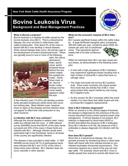 Bovine Leukosis Virus - NYSCHAP - Cornell University