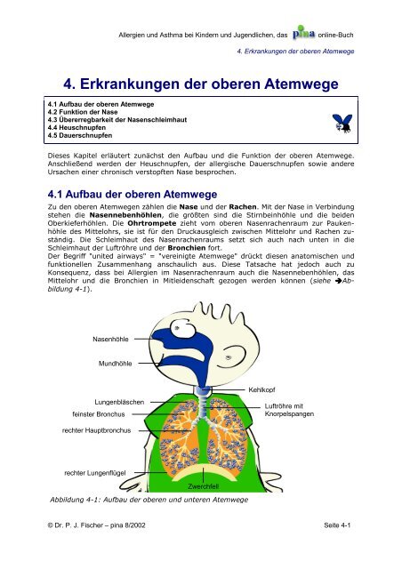 4. Erkrankungen der oberen Atemwege - Klinik für Kinder- und ...