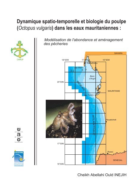 Dynamique spatio-temporelle et biologie du poulpe ... - IMROP