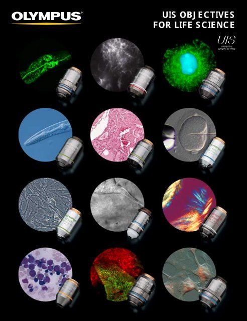 uis objectives for life science - Olympus Microscopy Resource Center