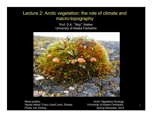 Lecture 2: Arctic vegetation: the role of climate and macro-topography