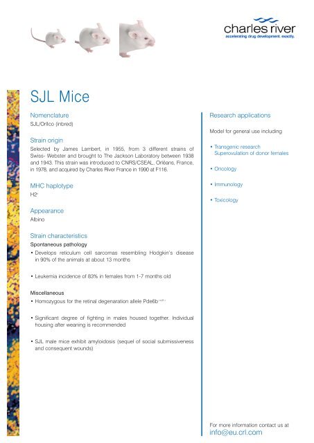 SJL Mice - Charles River Laboratories