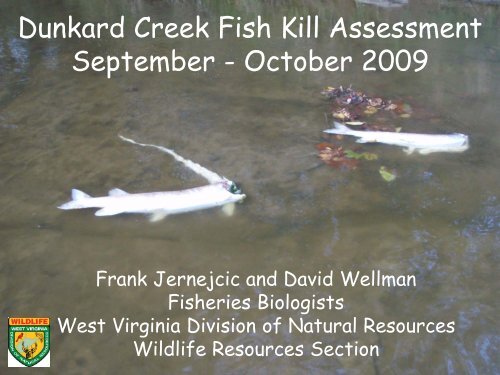 Dunkard Creek Fish Kill Assessment September - October 2009