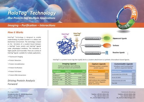 HaloTag® Technology - Promega