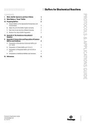Restriction Enzyme Activity in Promega 10X Buffers