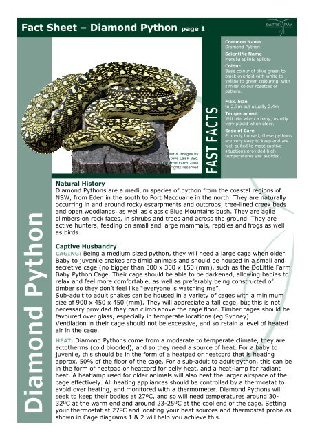 Diamond Pythons - Dolittle Farm