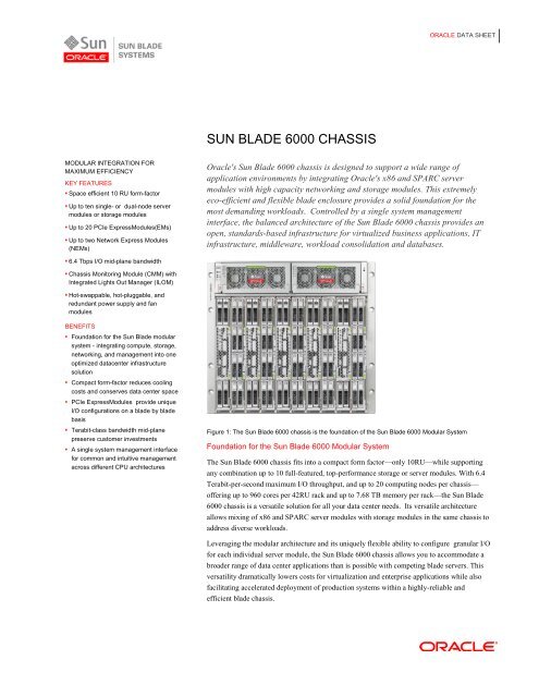 Sun Blade 6000 Chassis - Oracle
