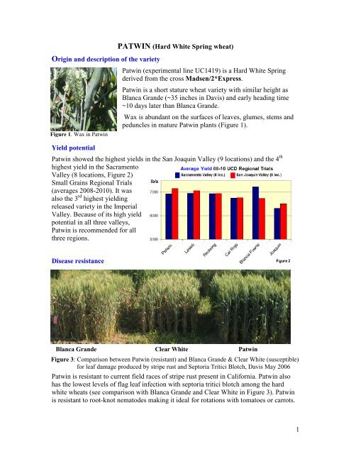 PATWIN (Hard White Spring wheat) - Department of Plant Sciences ...