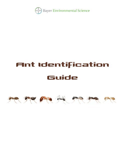 Ant Identification Guide - Backed by Bayer