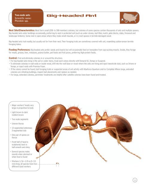 Two-node ants Scientific