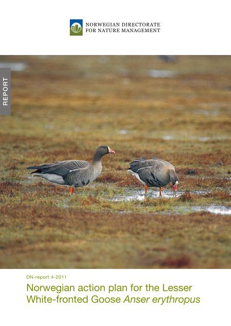 Norwegian action plan for the Lesser White-fronted Goose Anser ...