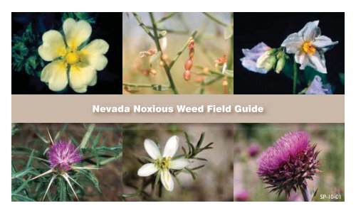 Nevada Noxious Weed Field Guide - University of Nevada ...