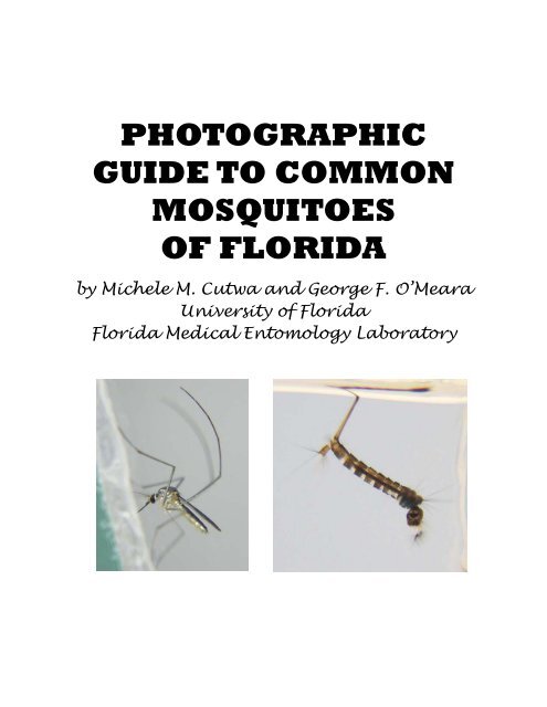 PHOTOGRAPHIC GUIDE TO COMMON MOSQUITOES OF FLORIDA