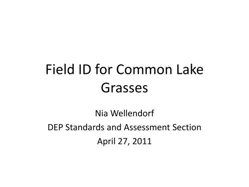 Field Identification of Common Grasses